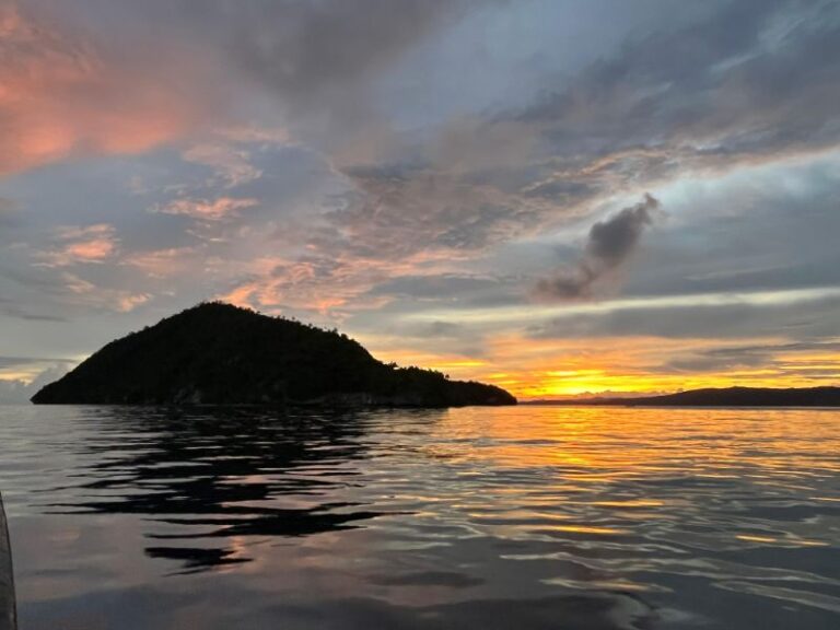 Turtle Dive Homestay